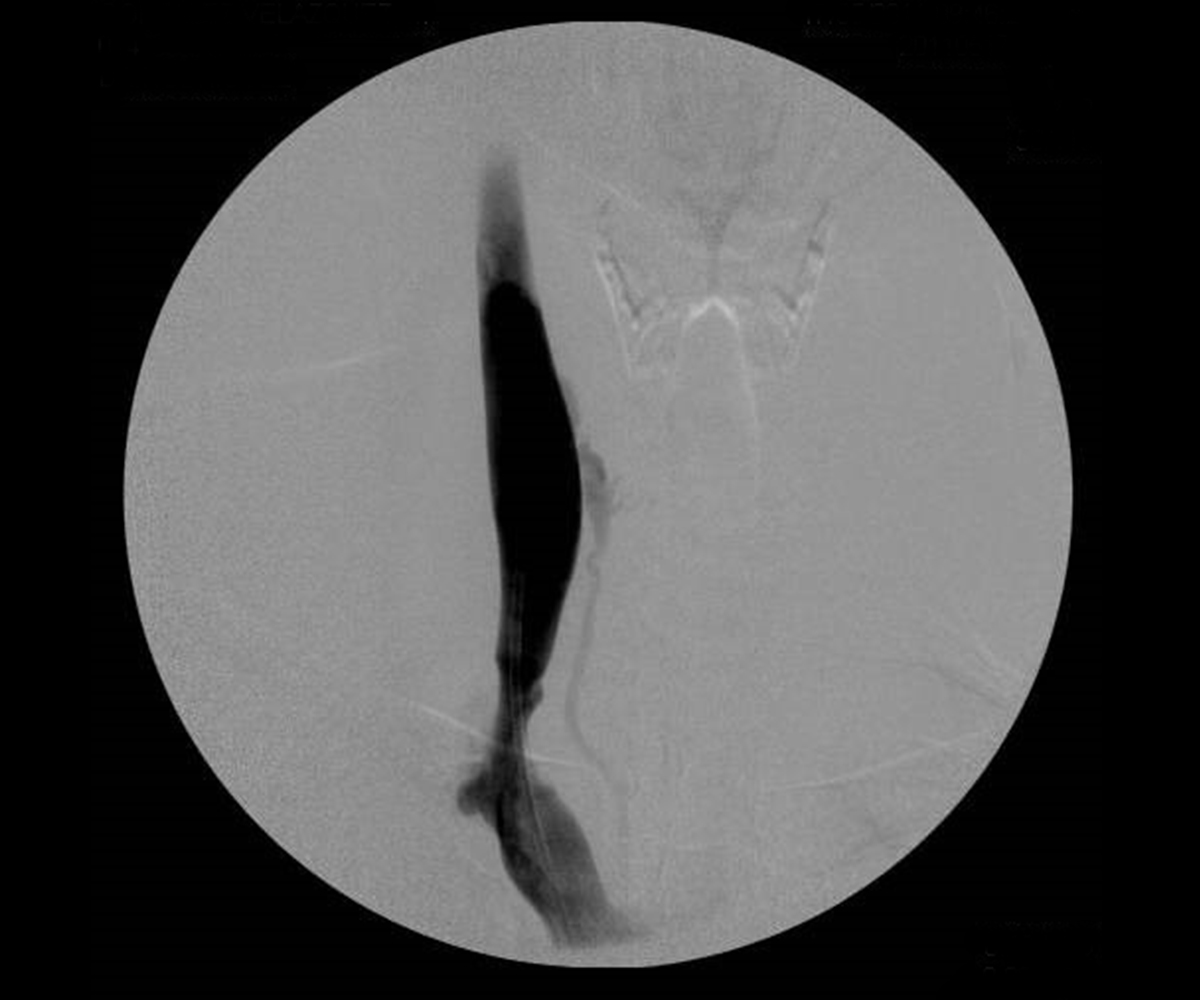 Conditions and Treatments – The clinics of the heart